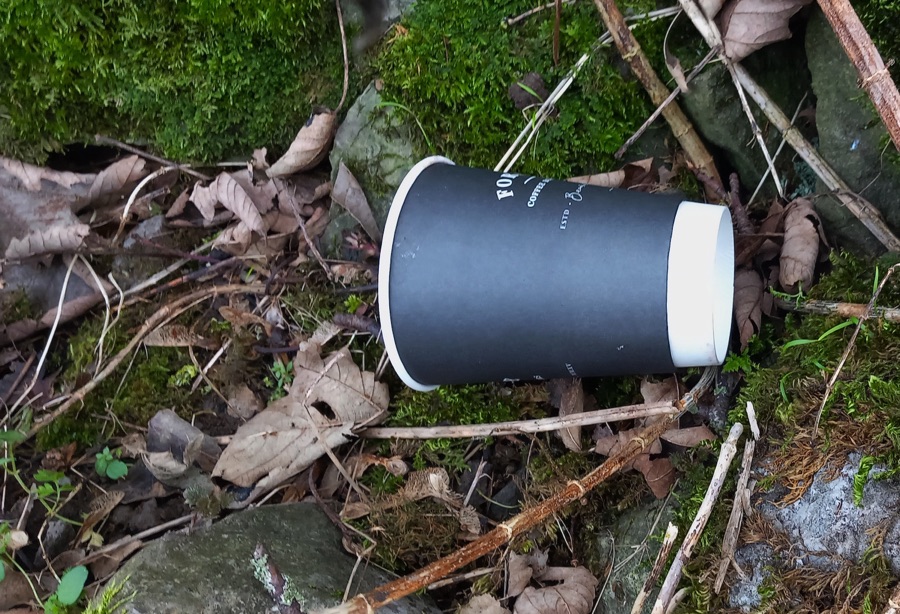 Review of Ocean Bottle Tumbler | Little Green Space