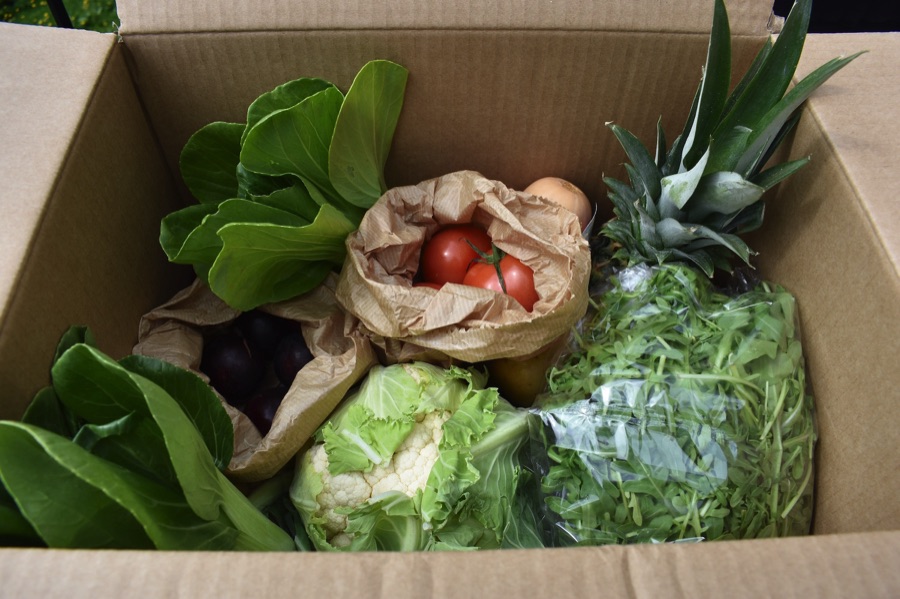 Review of Oddbox fruit and vegetable boxes | Little Green Space